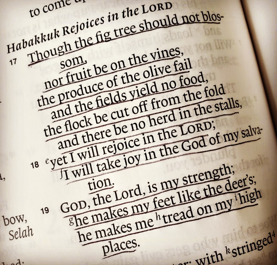 Habakkuk 3:17-19: I will take joy in the God of my salvation – The ...